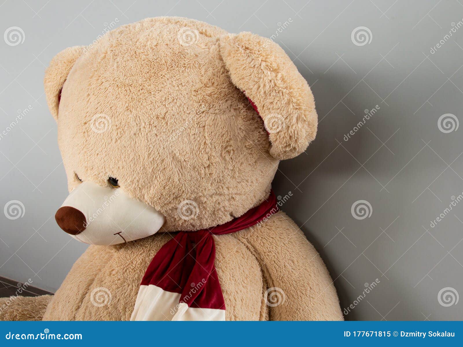 Big Teddy Bear in a Scarf, Side View Stock Image - Image of scarf ...