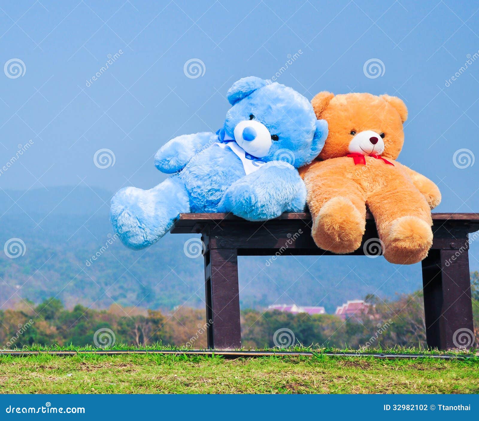 Big Teddy Bears Sitting on Wood Chair Stock Photo - Image of animal ...