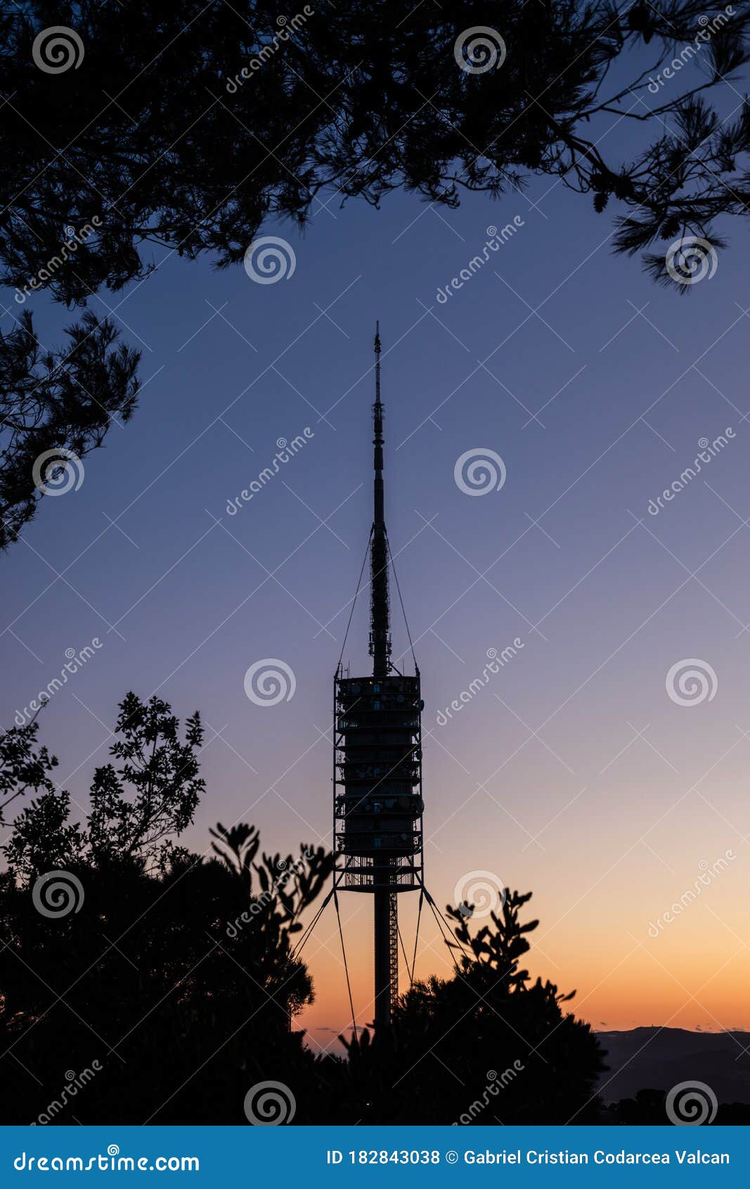 Big Telecommunications Antenna on Trees Frame during Sunset Silhouette ...