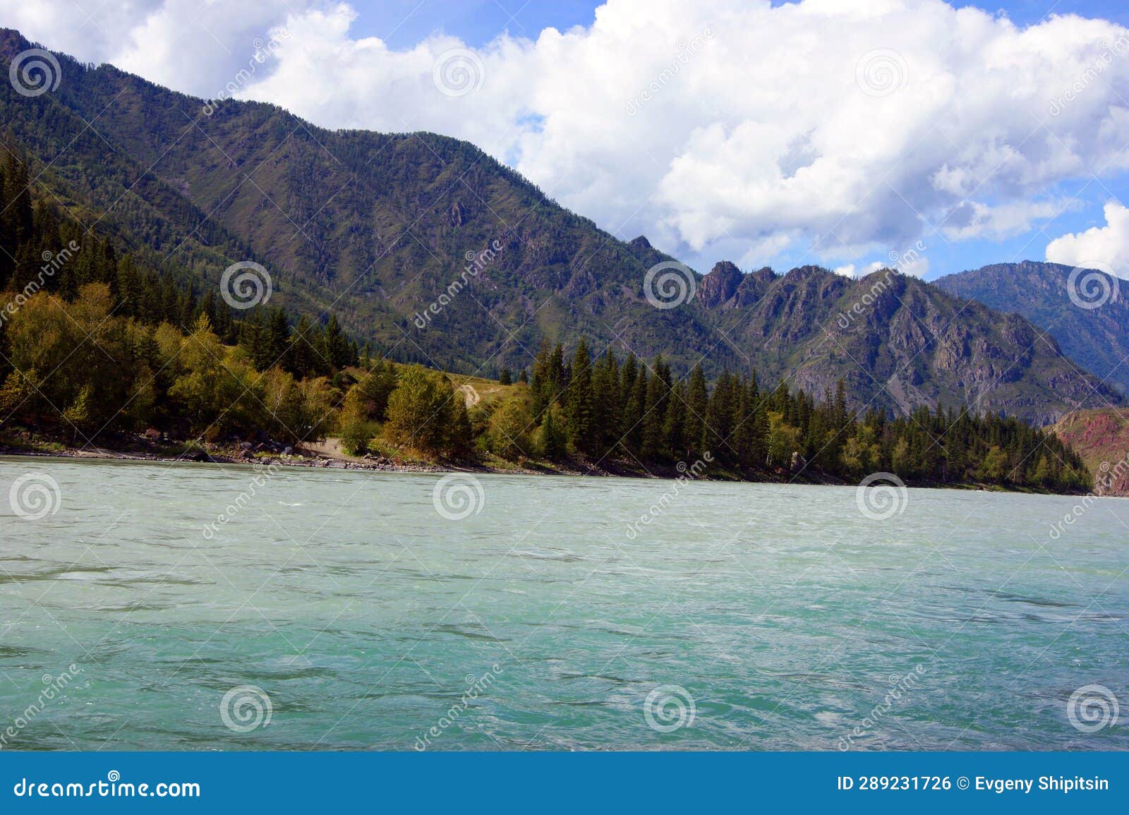 Big and Tempestuous River in Mountain Altaya Stock Photo - Image of ...