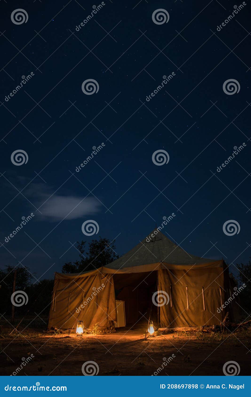 African Night Crawler, Earthworms And Fertile Soil Isolated On White ...