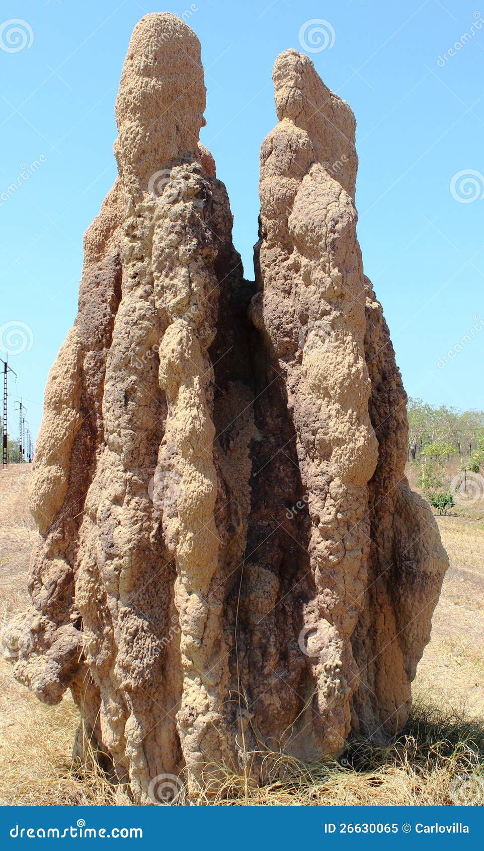 Big termite stock image. Image of landscape, earth, danger - 26630065