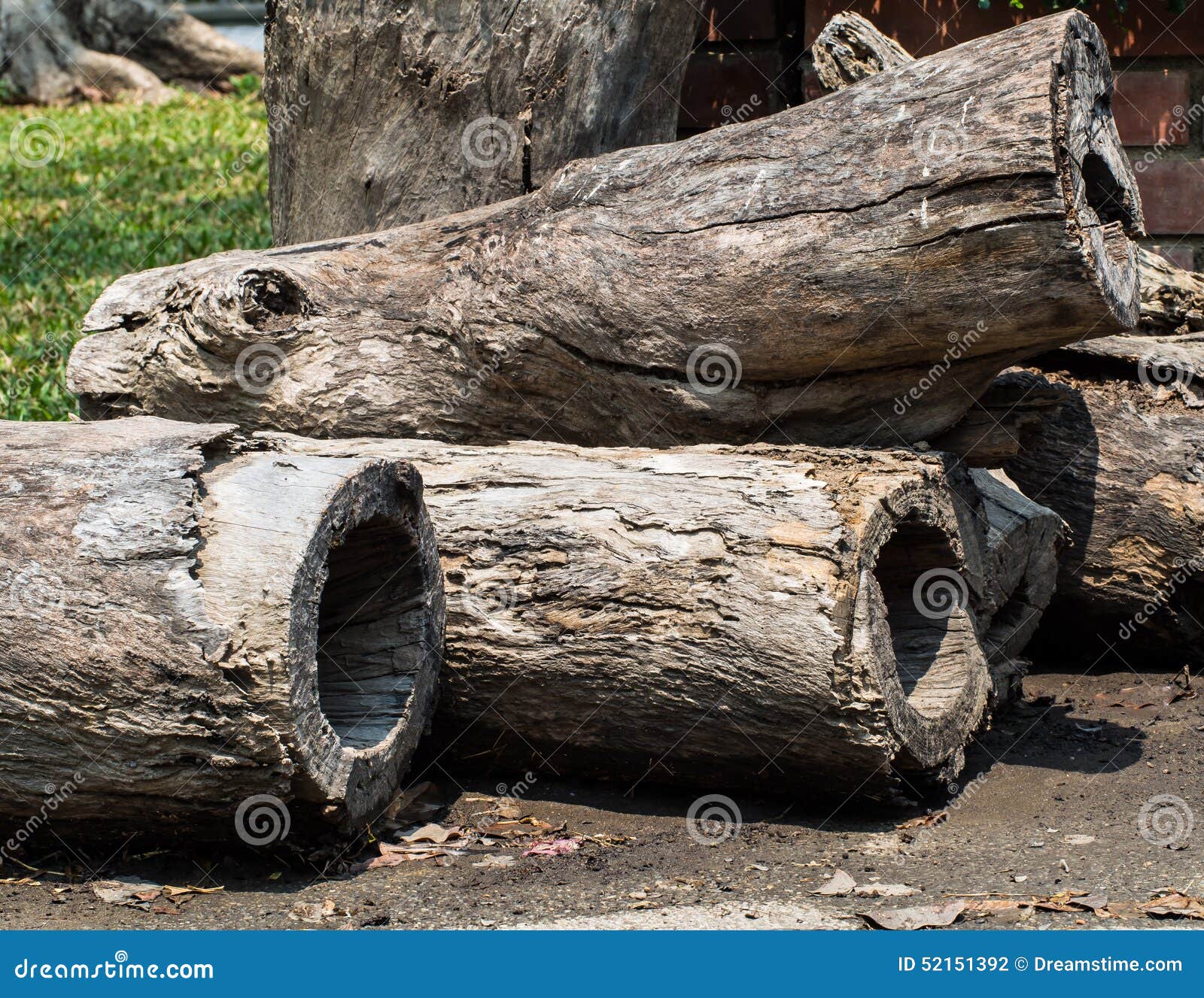 Big three logs stock photo. Image of pine, park, brown - 52151392