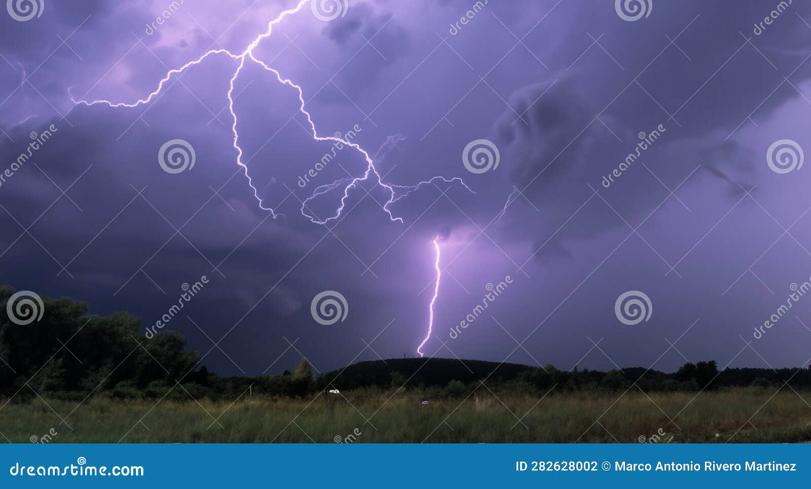 Big Thunder Falling in Wooded Area at Night in High Definition and ...