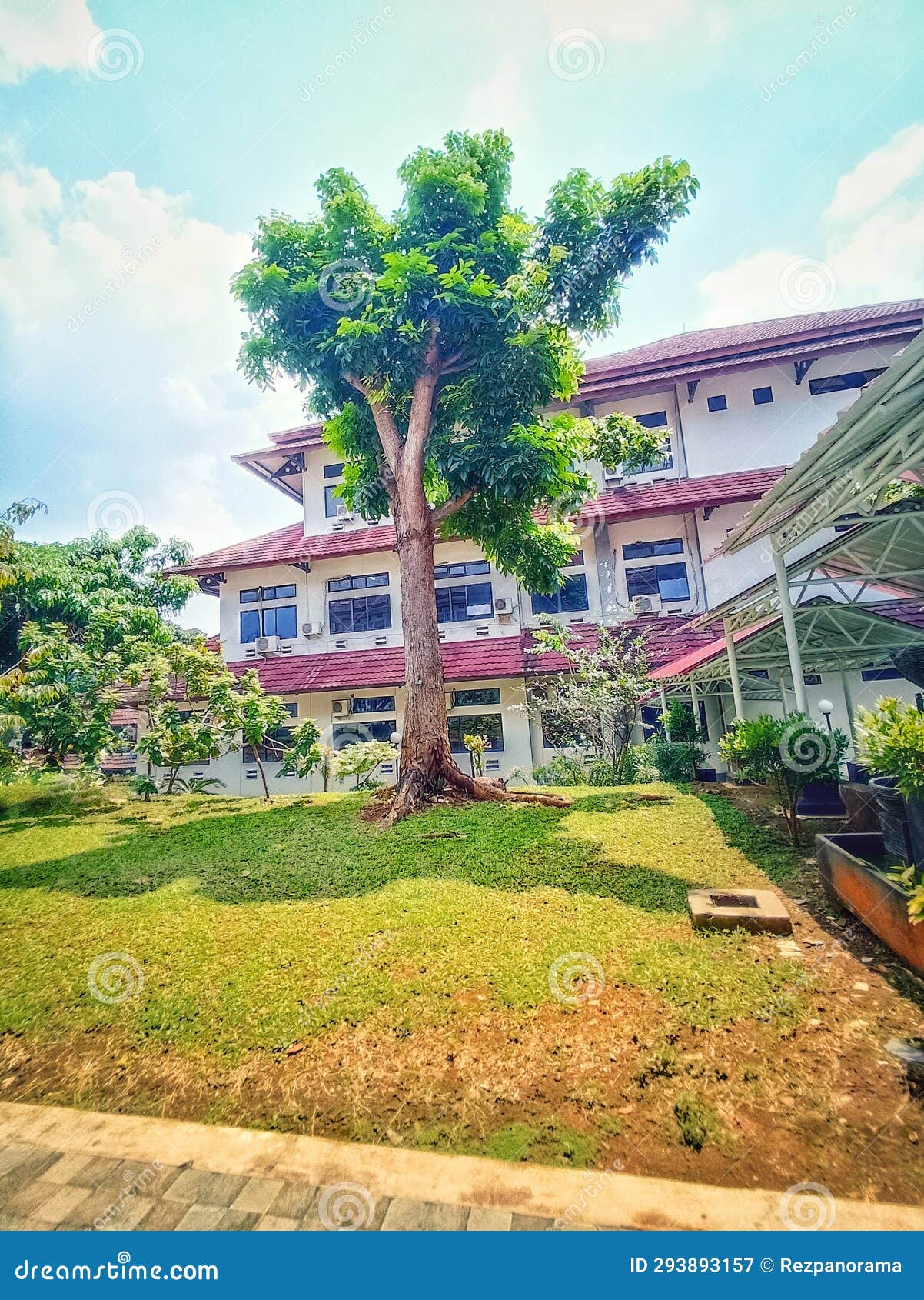 A Big Tree Behind a Building that Looks Beautiful Under a Clear Sky ...