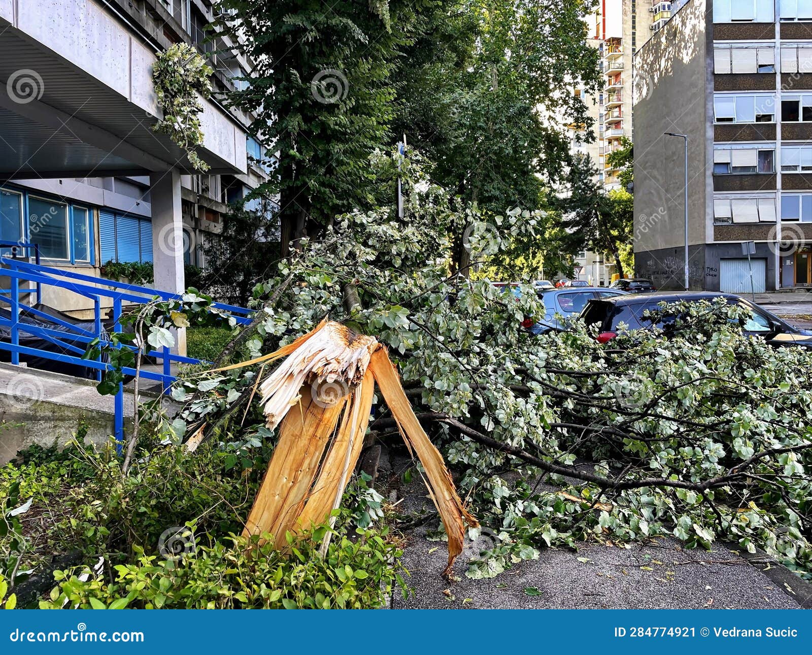 A Big Tree Branch Fell on Parking Lot Stock Image - Image of danger ...