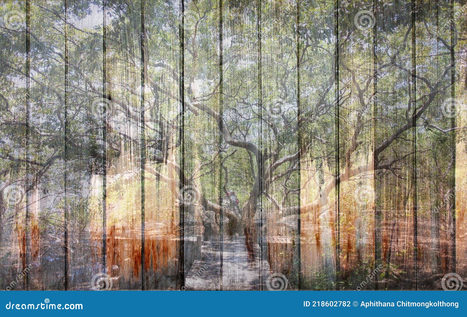 Big Tree Branch on Retro Brown Wood Background, Abstract Pattern Stock ...