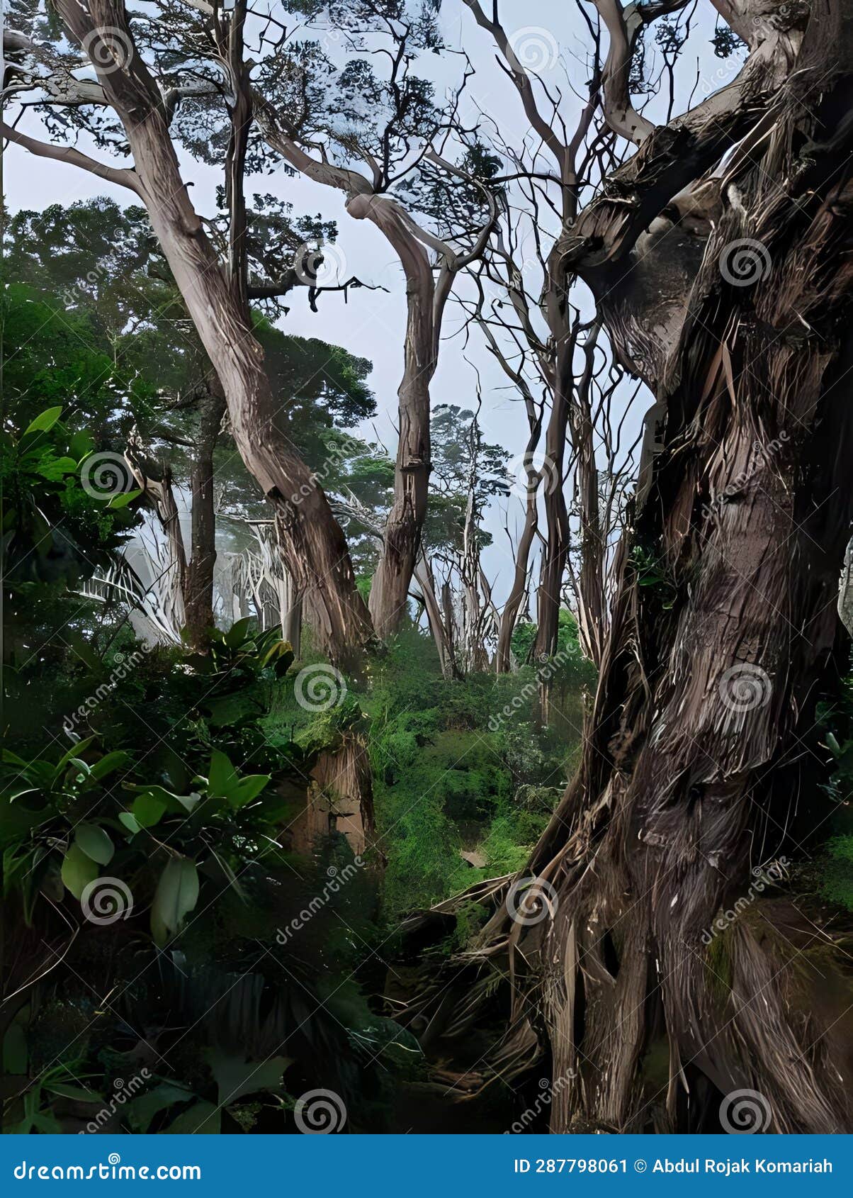 Big tree in the forest stock image. Image of wood, trunk - 287798061