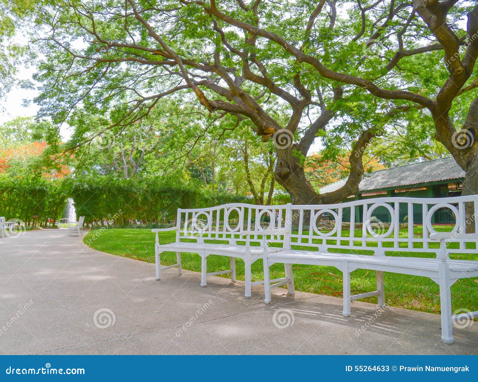 Big tree in garden stock image. Image of thailand, landscape - 55264633