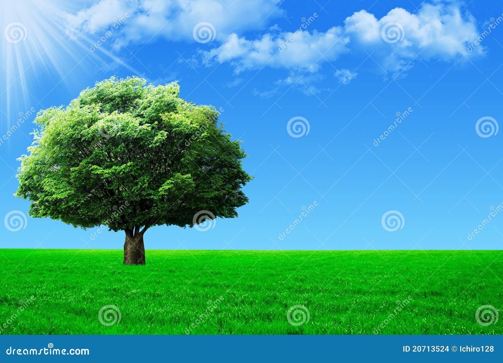 Big tree on green field stock photo. Image of lush, ecology - 20713524