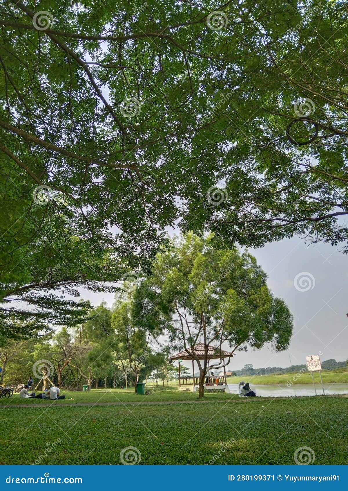 A Big Tree that is Green and Very Beautiful Stock Image - Image of ...