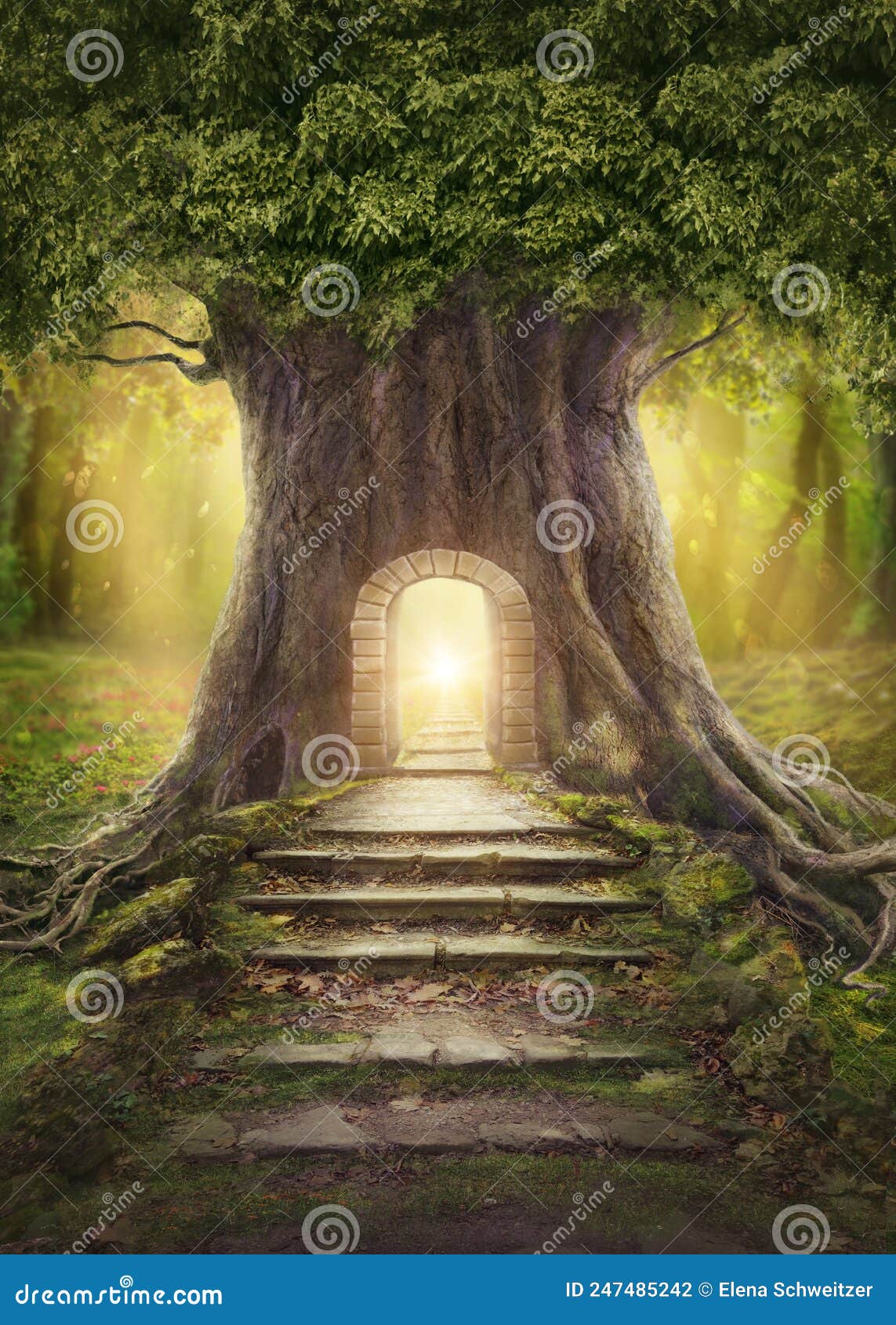 Big tree with entrance stock photo. Image of fantasy - 247485242