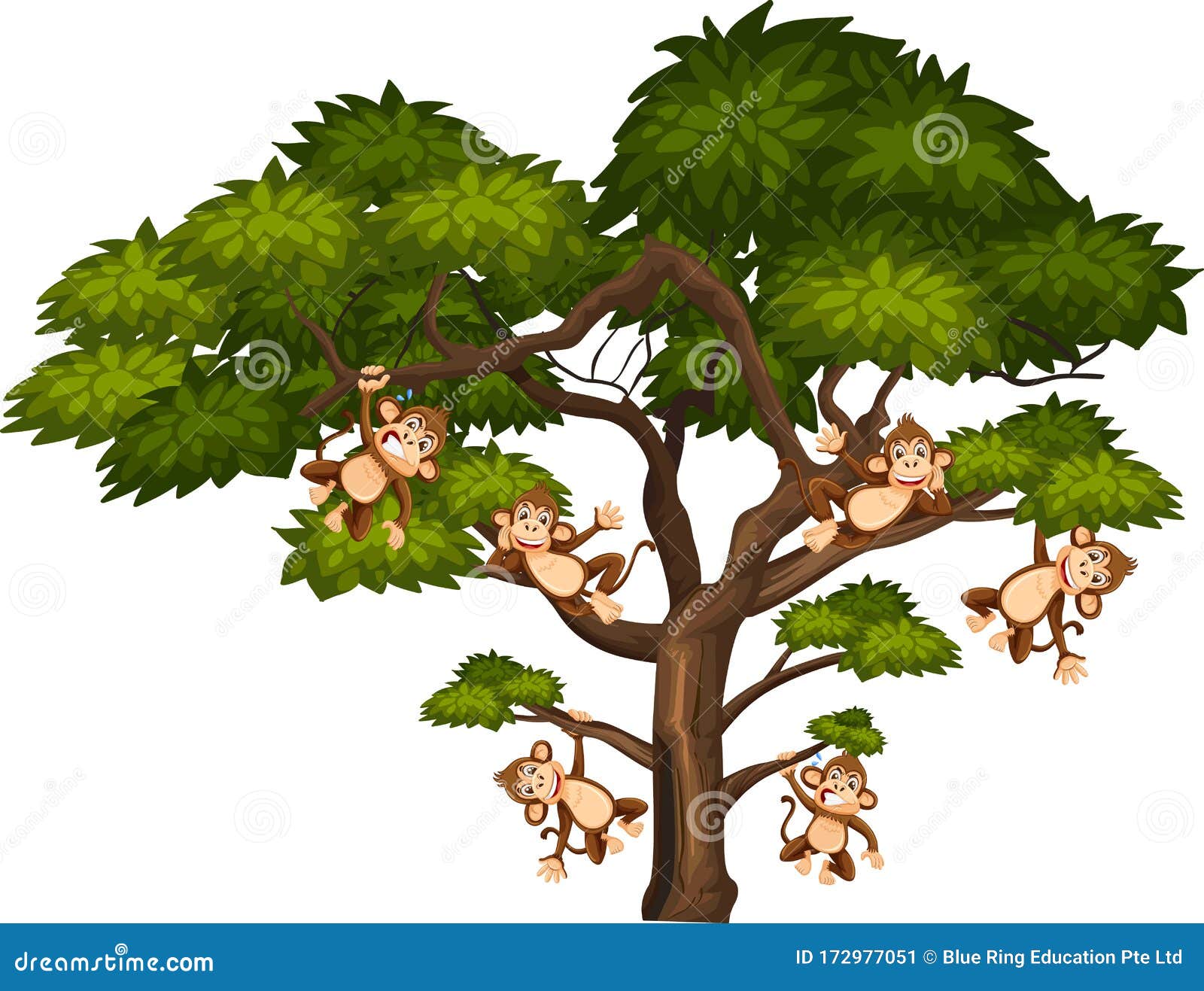 Monkey In A Tree Clipart