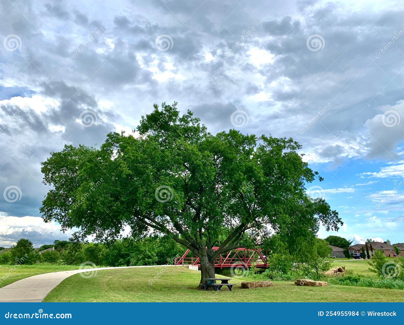 Big Tree in the Park with a Bridge and Clouds in the Background Stock ...