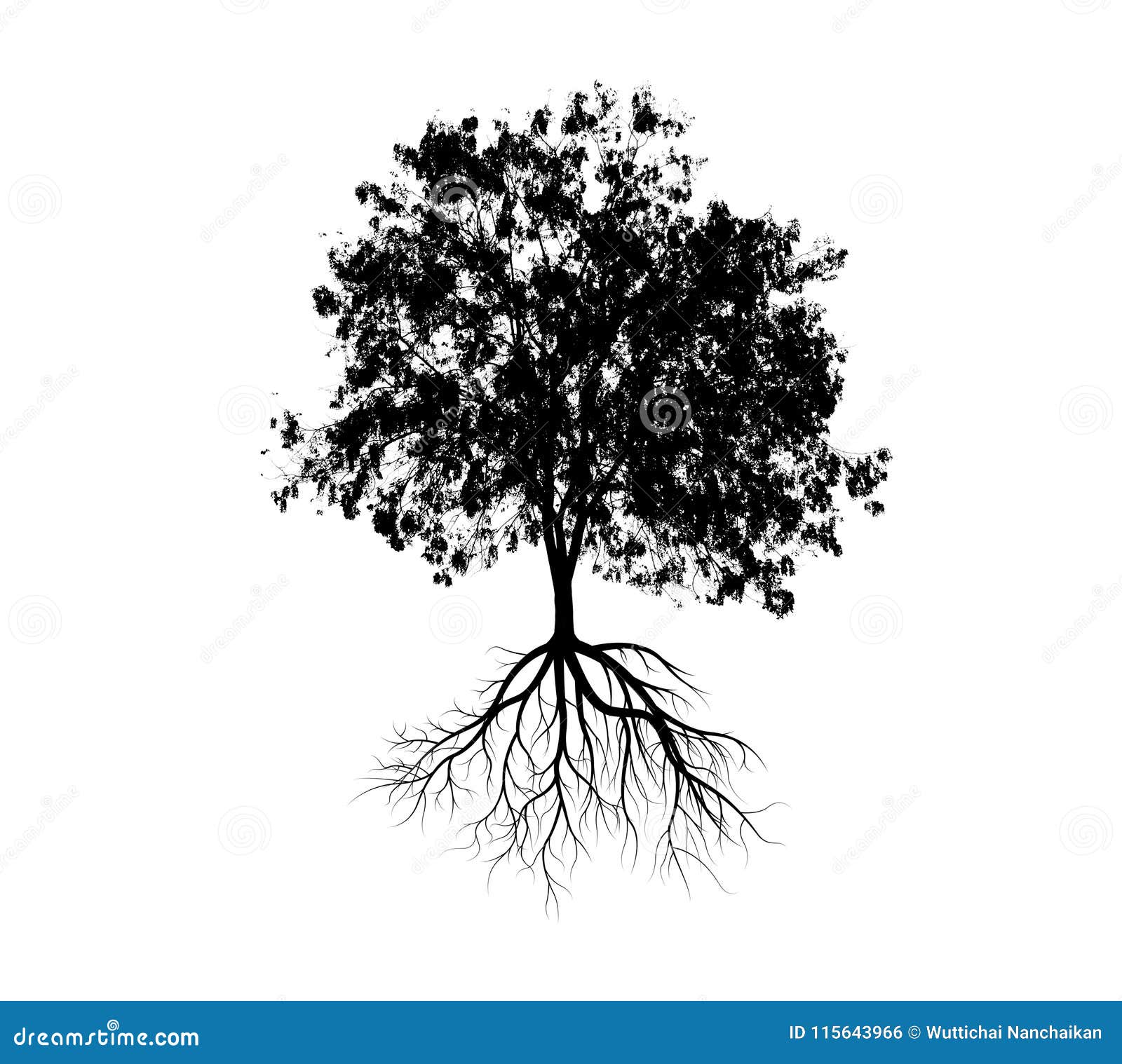 Big tree silhouettes stock photo. Image of black, pine - 115643966