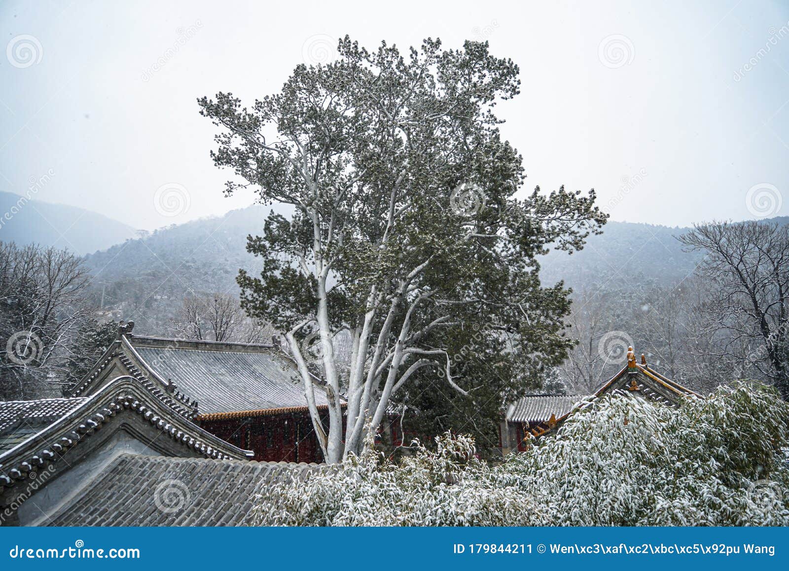 Big tree in snowy temple stock image. Image of home - 179844211