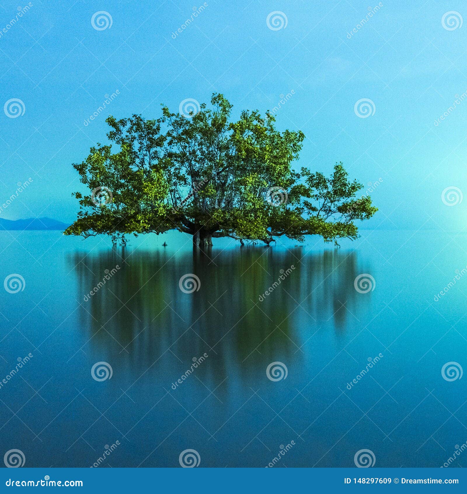 A big tree in the sea stock image. Image of dark, deep - 148297609
