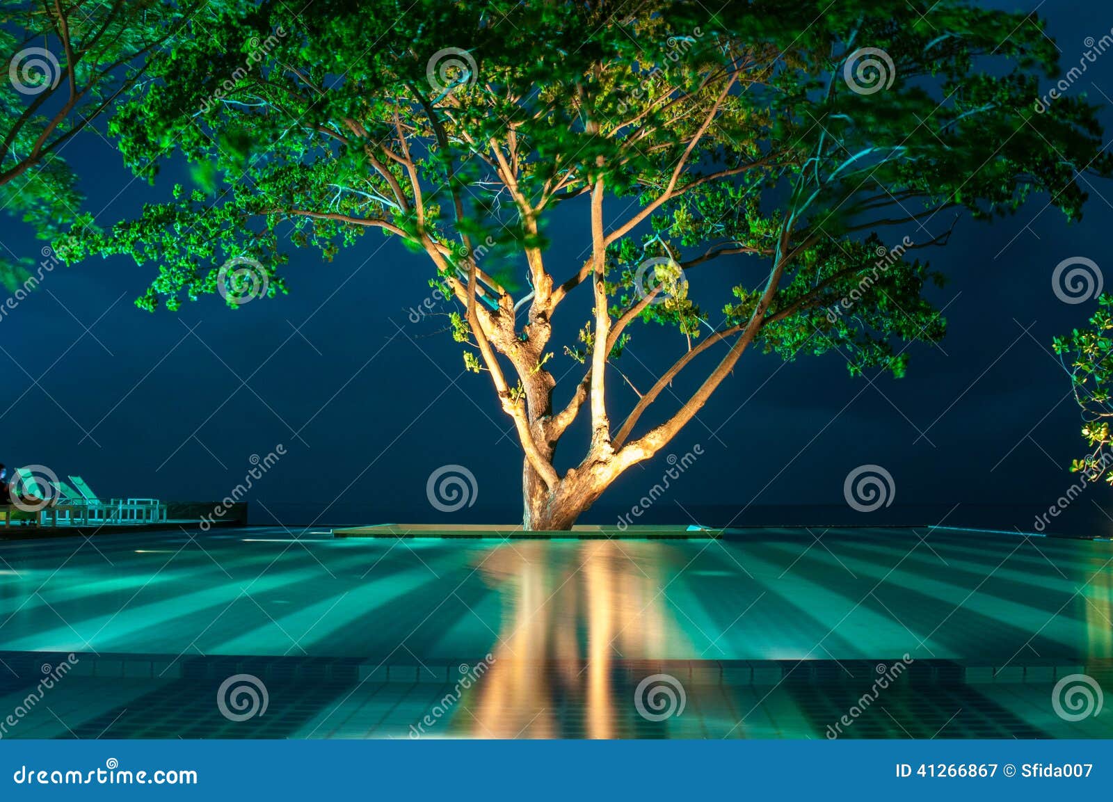 Big Tree on the Swimming Pool Stock Image - Image of swimming, beach ...