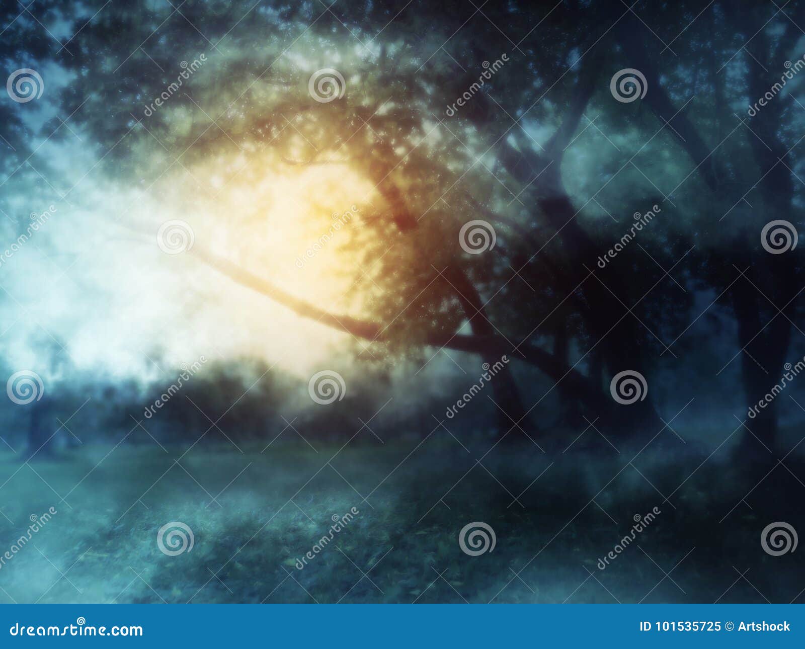 Dark Mist and Trees stock image. Image of light, autumn - 101535725