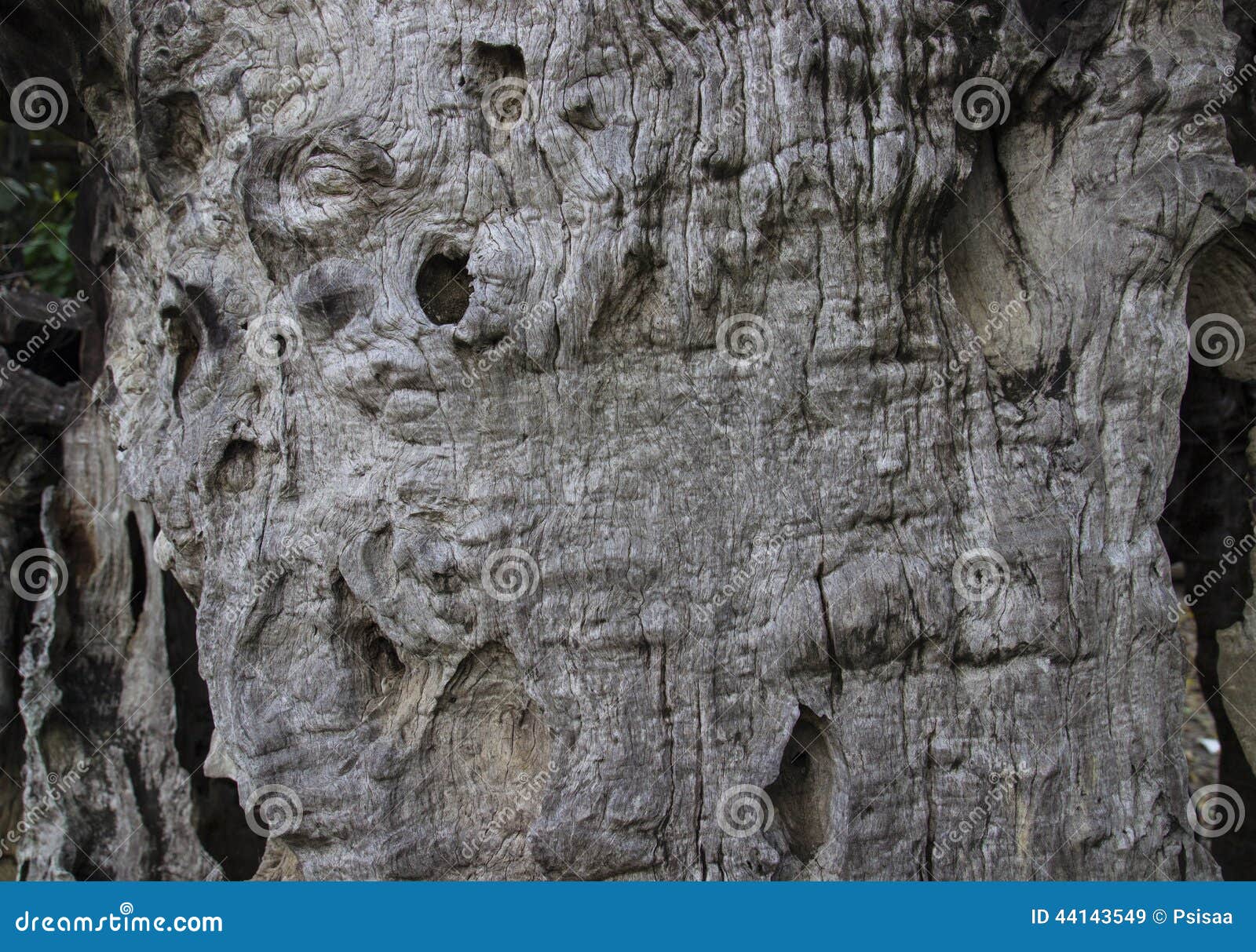 Big trunk for background stock image. Image of plant - 44143549