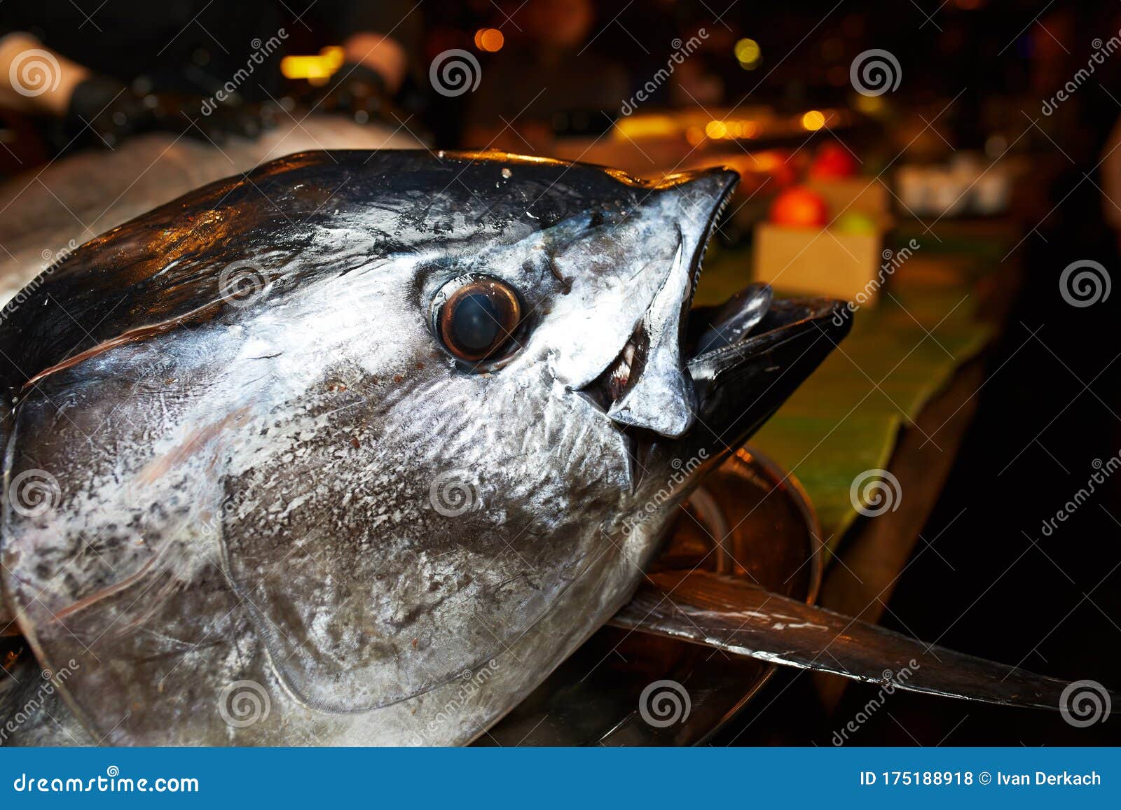 Big Tuna in a Restaurant, Tuna Head, Tuna on the Table, Tuna, before ...