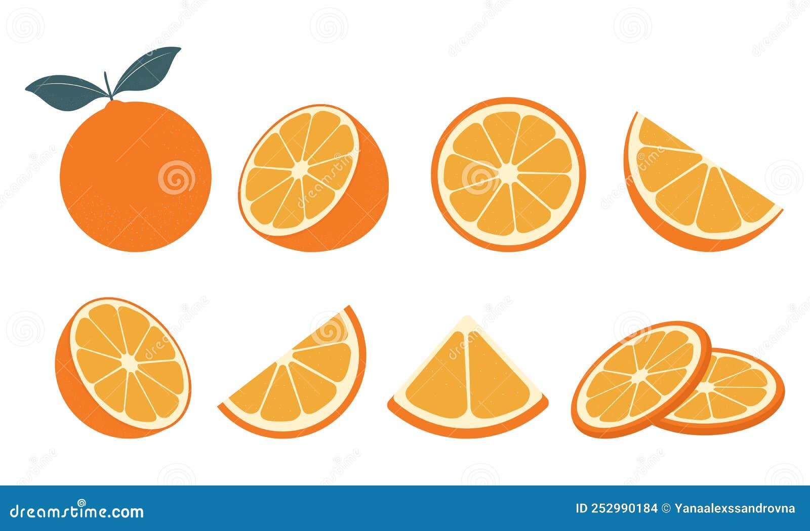 Big Vector Collection of Fresh Oranges. Orange Fruit Isolated on White ...