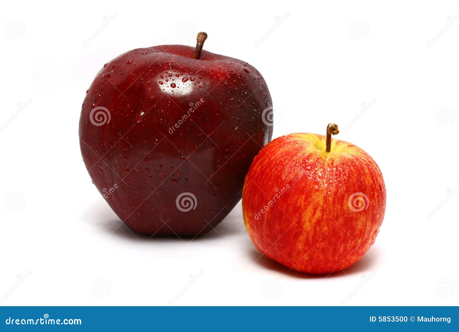 Big versus Small stock photo. Image of water, fruit, compare - 5853500