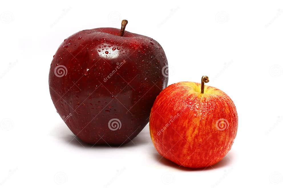 Big versus Small stock photo. Image of water, fruit, compare - 5853500