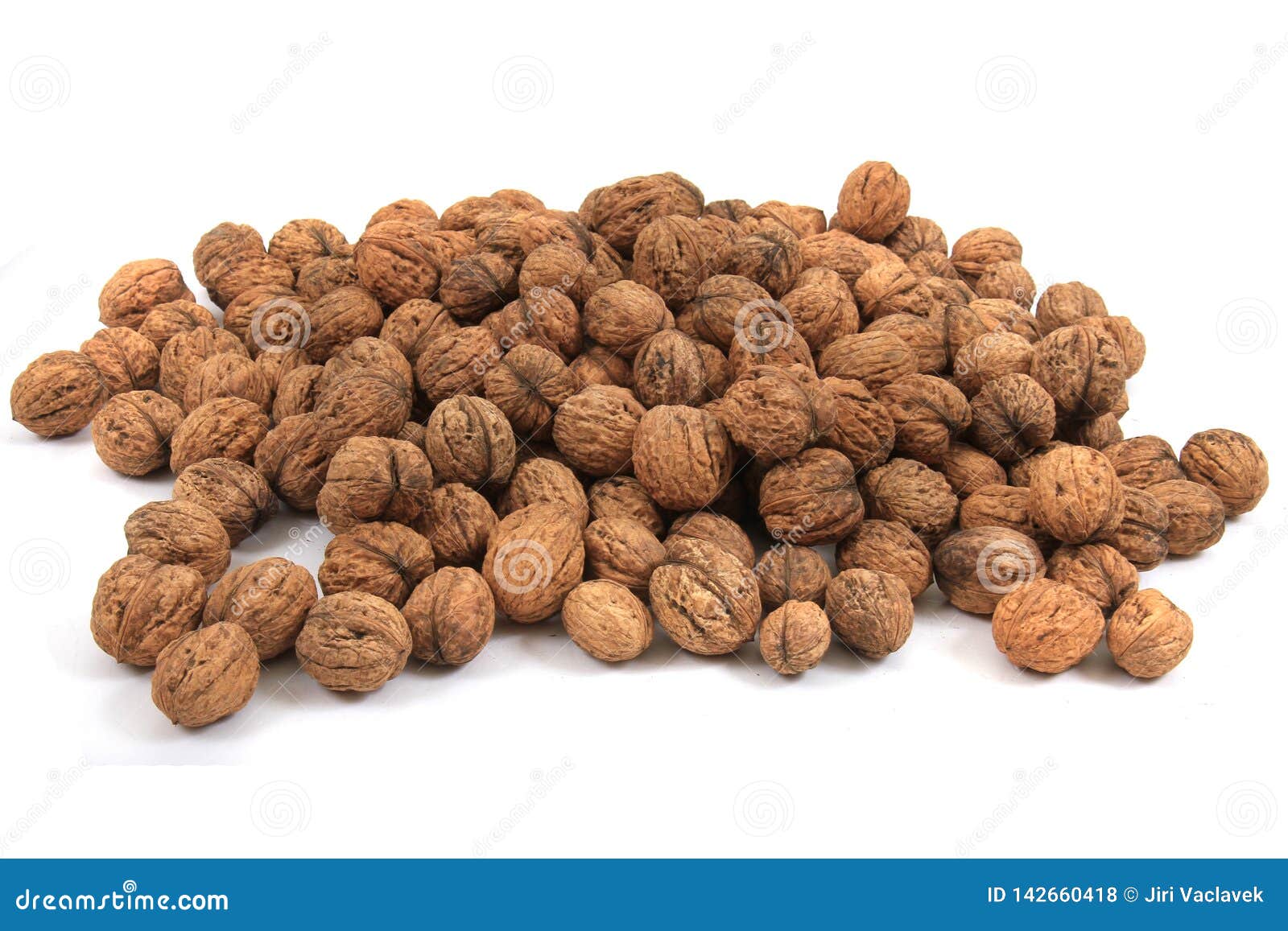Big wallnuts isolated stock photo. Image of seasonal - 142660418