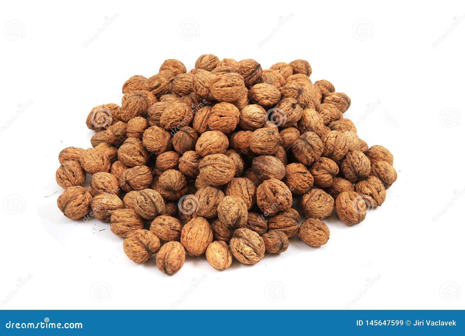 Big wallnuts isolated stock image. Image of fruit, seasonal - 145647599