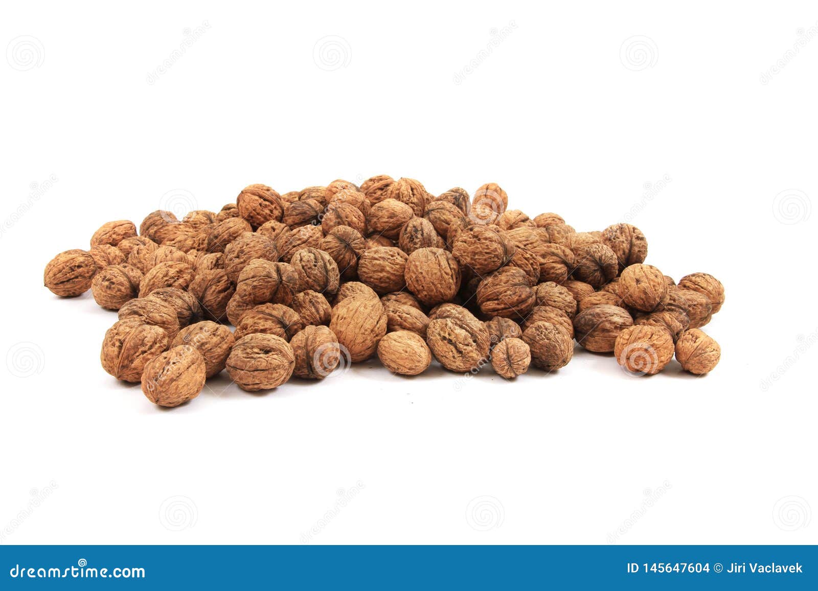 Big wallnuts isolated stock photo. Image of closeup - 145647604