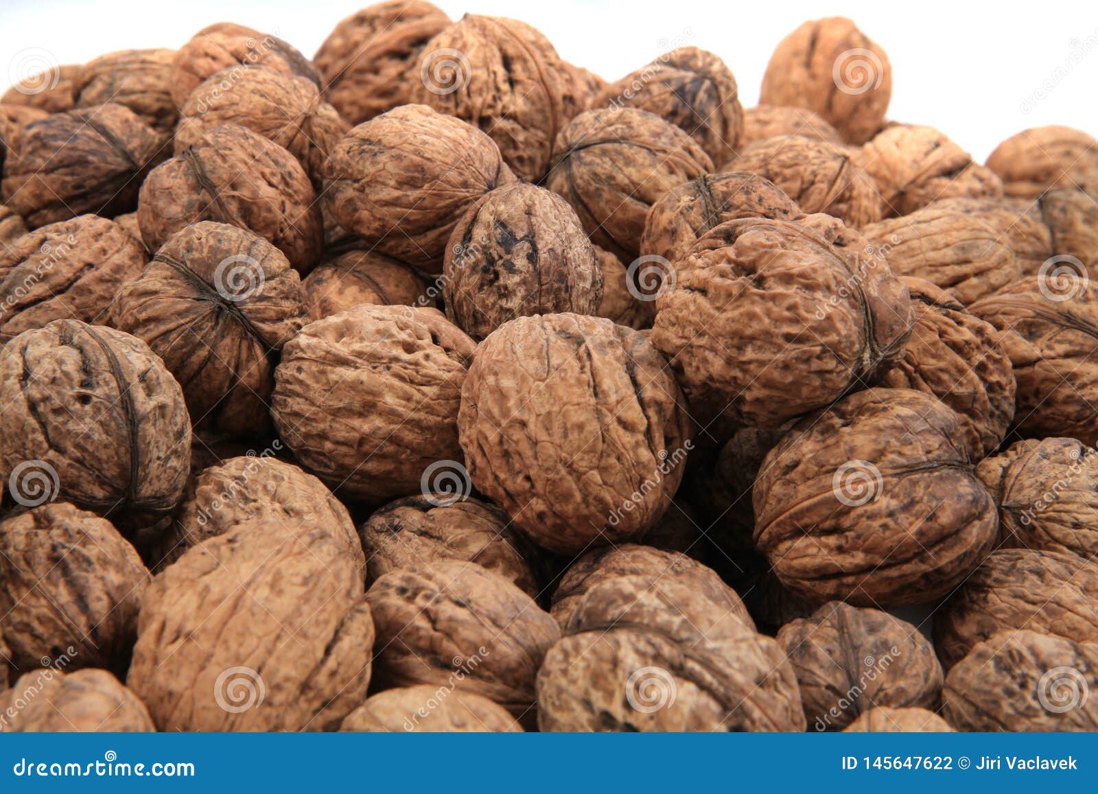 Big wallnuts isolated stock photo. Image of autumn, isolated - 145647622