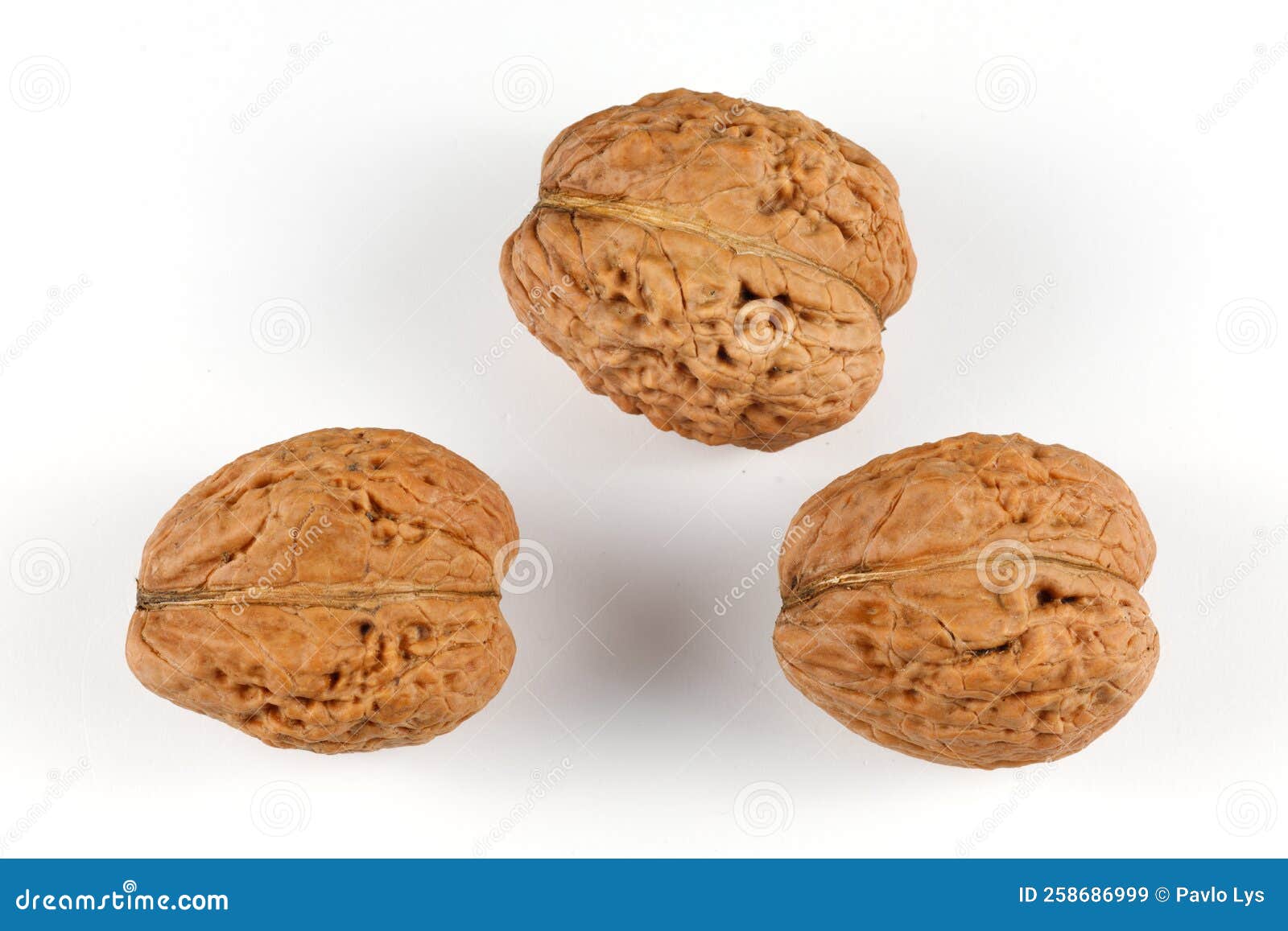 Big Walnuts Isolate on White Stock Image - Image of ingredient, macro ...