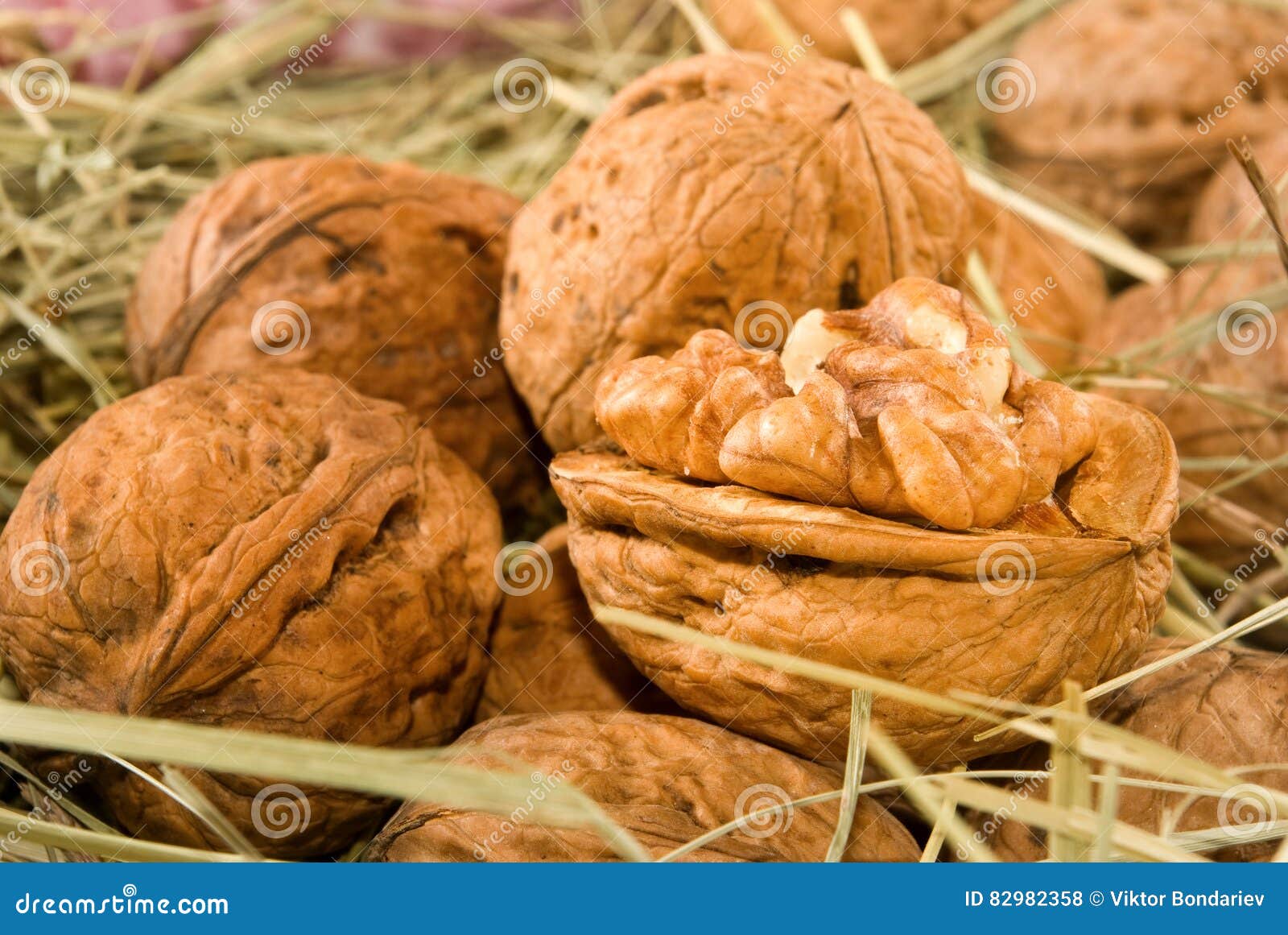 Big Walnuts Nuts, Ripe Nuts in Grass Close-up Stock Photo - Image of ...