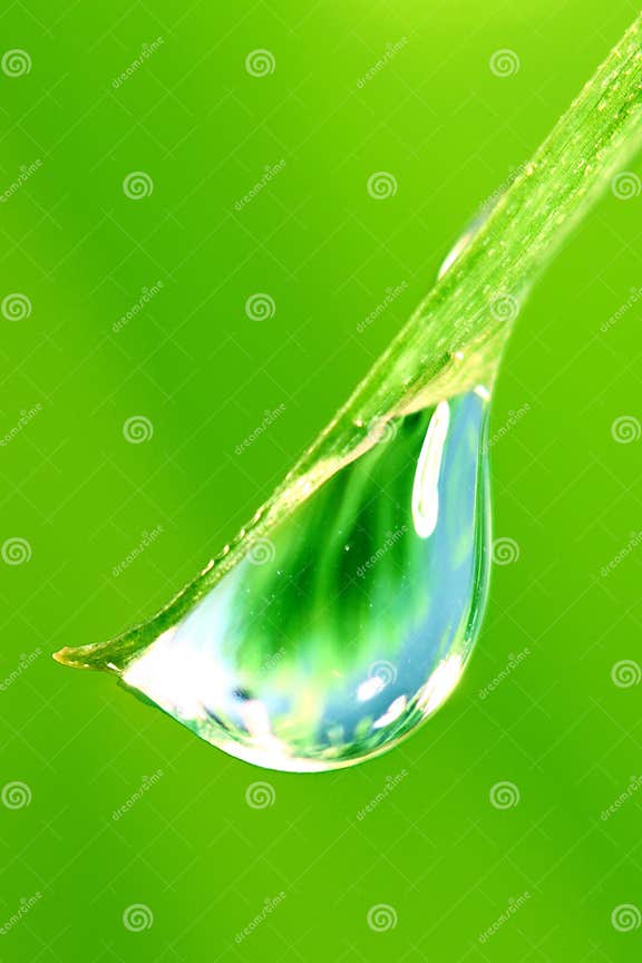 Big water drop stock photo. Image of drops, liquid, climate - 20726854