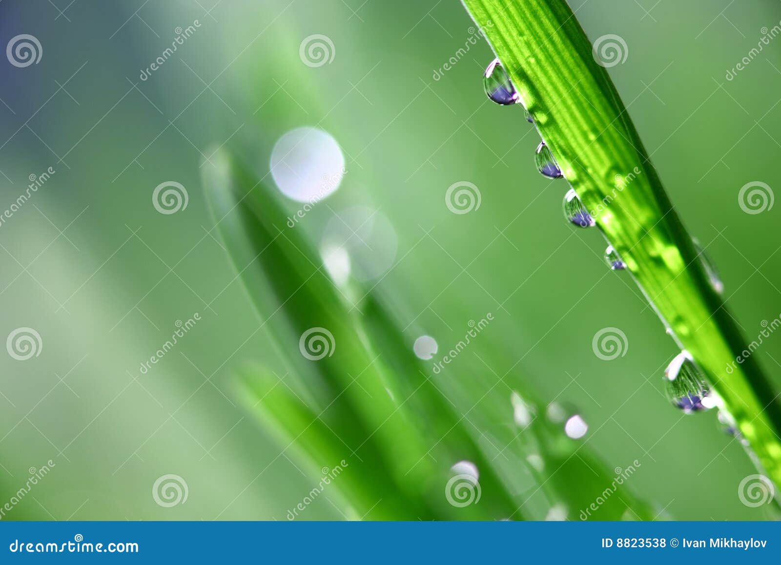 Big water drop stock photo. Image of clean, backgrounds - 8823538