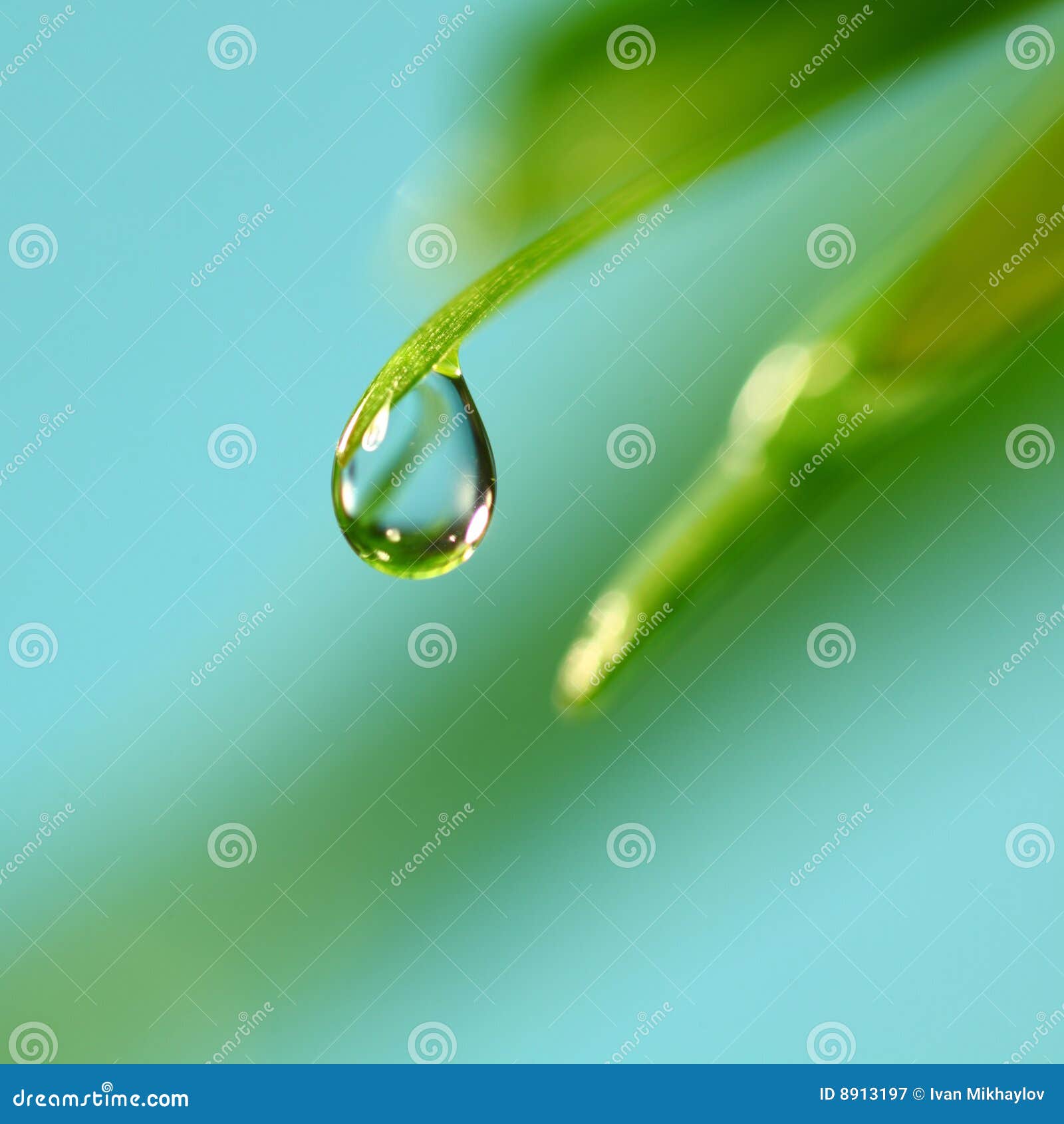 Big water drop stock image. Image of lush, growth, color - 8913197