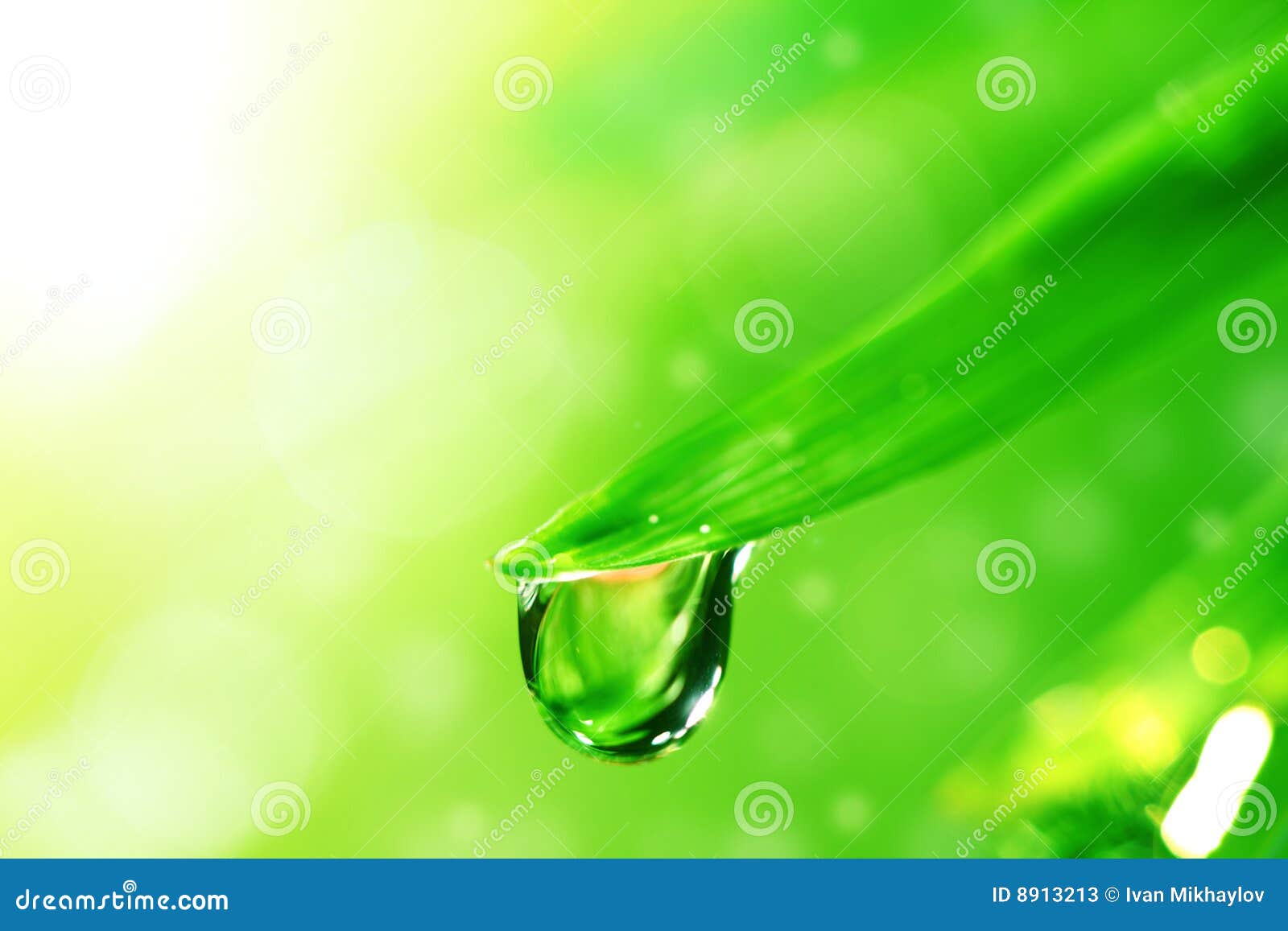 Big water drop stock image. Image of drops, closeup, condensation - 8913213