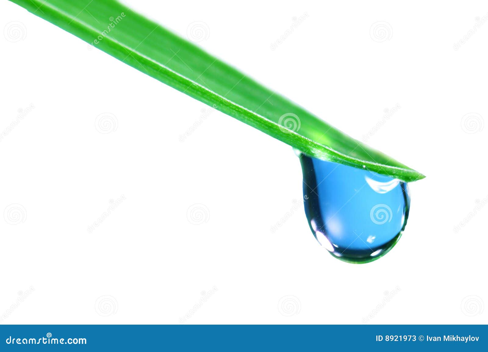 Big water drop isolated stock image. Image of growth, lush - 8921973
