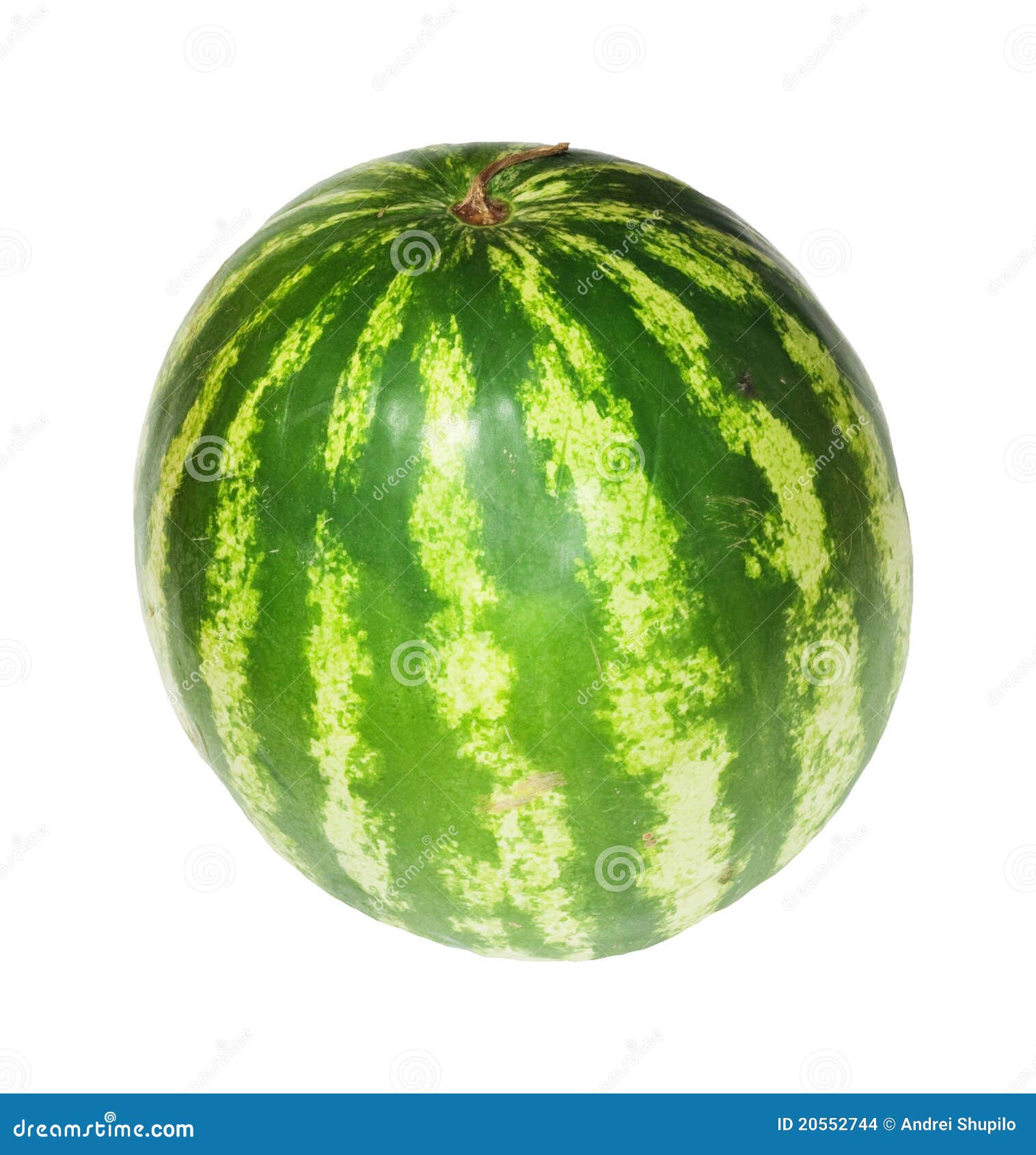 Big water melon stock photo. Image of green, nature, closeup - 20552744
