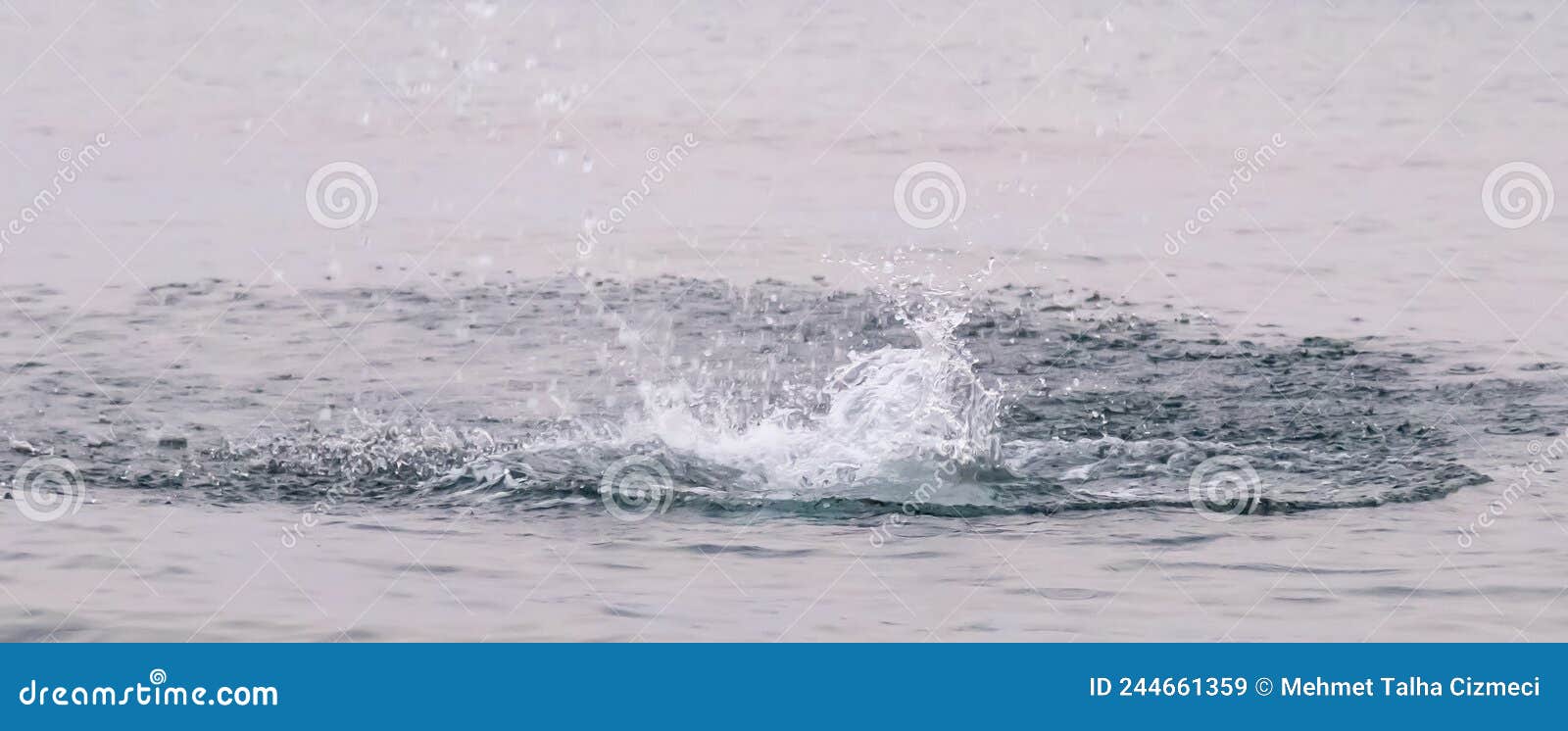 Big Water Splash and the Waves in the Sea Stock Image - Image of spray ...