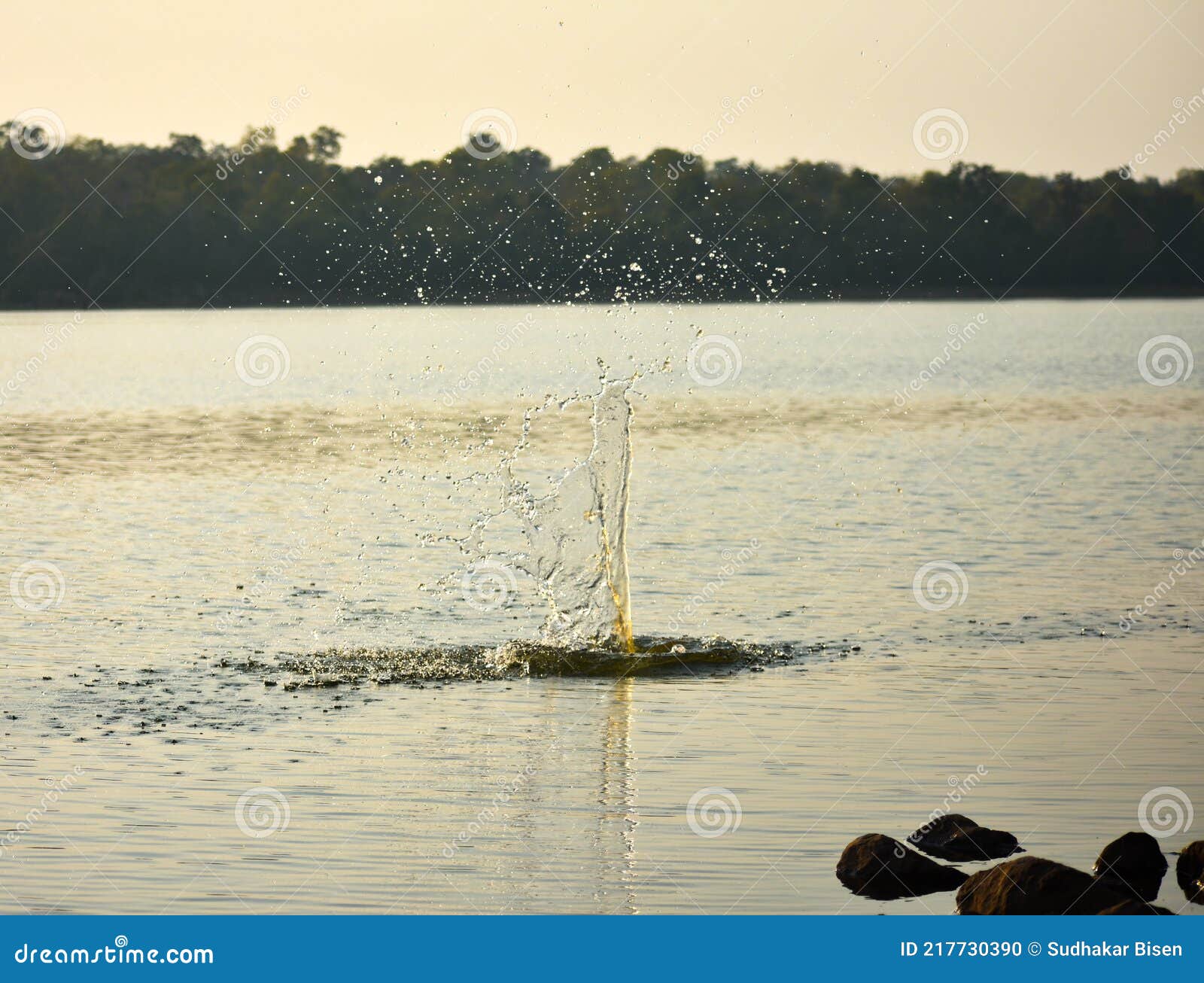 Big Water Splatter after Throwing a Small Rock into a Pond Stock Photo ...