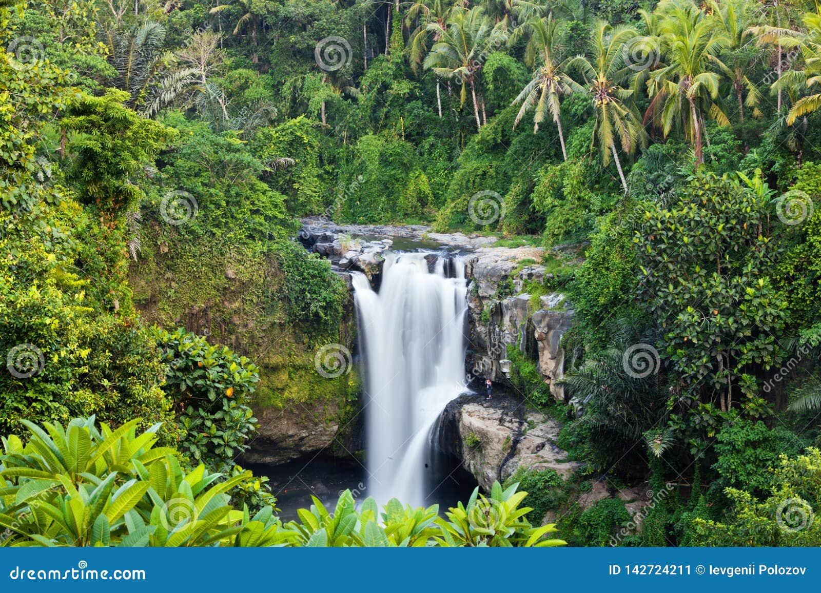 Big Waterfall in Exotic Tropical Forest Stock Image - Image of river ...