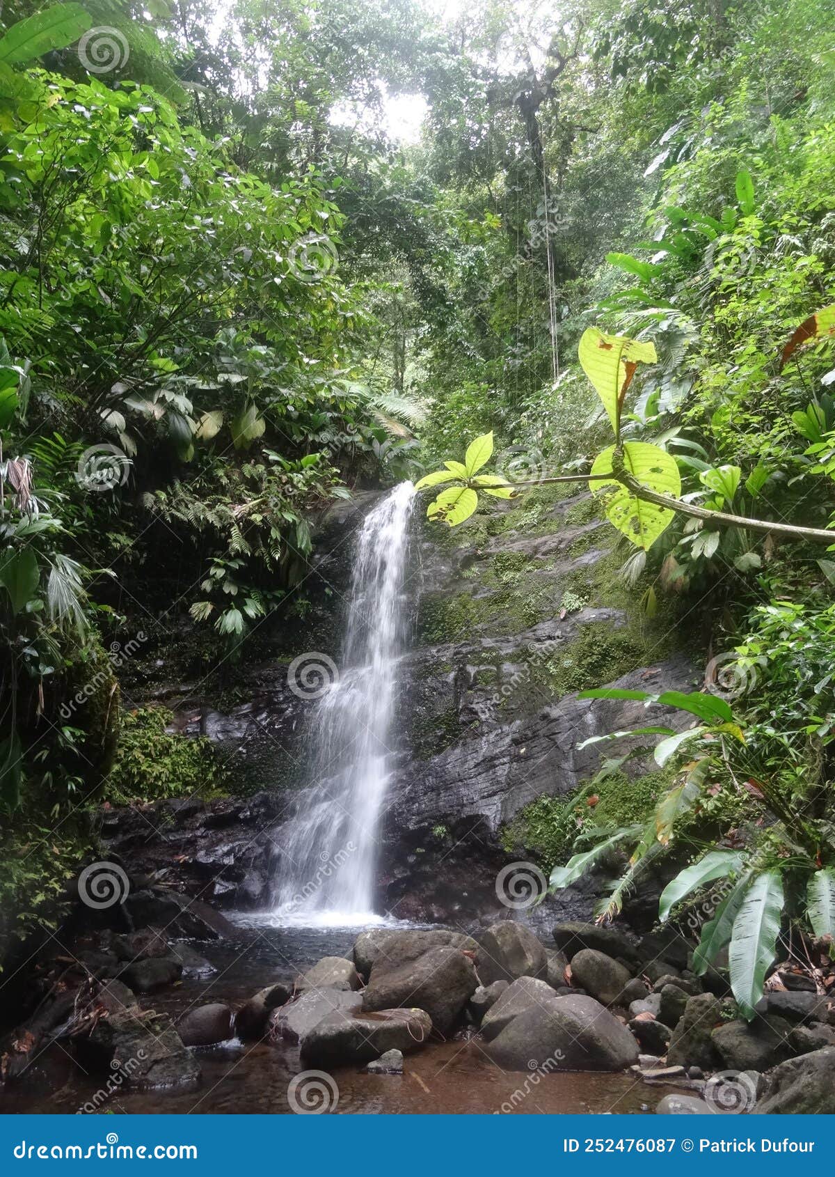 A Big Waterfall in the Lush Rainforest Stock Image - Image of river ...
