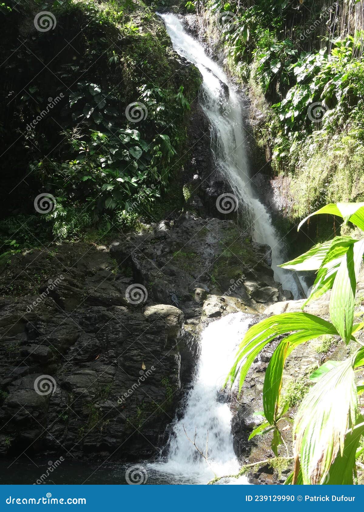 A Big Waterfall in the Rainforest Stock Photo - Image of rainforest ...