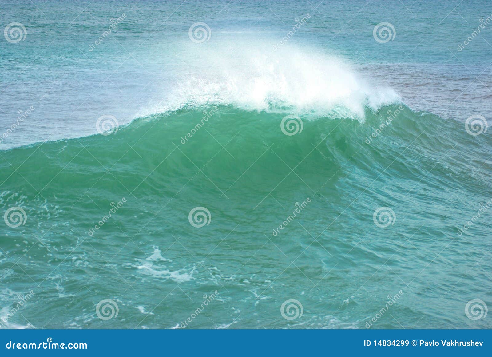 Big wave stock image. Image of pacific, spray, nature - 14834299
