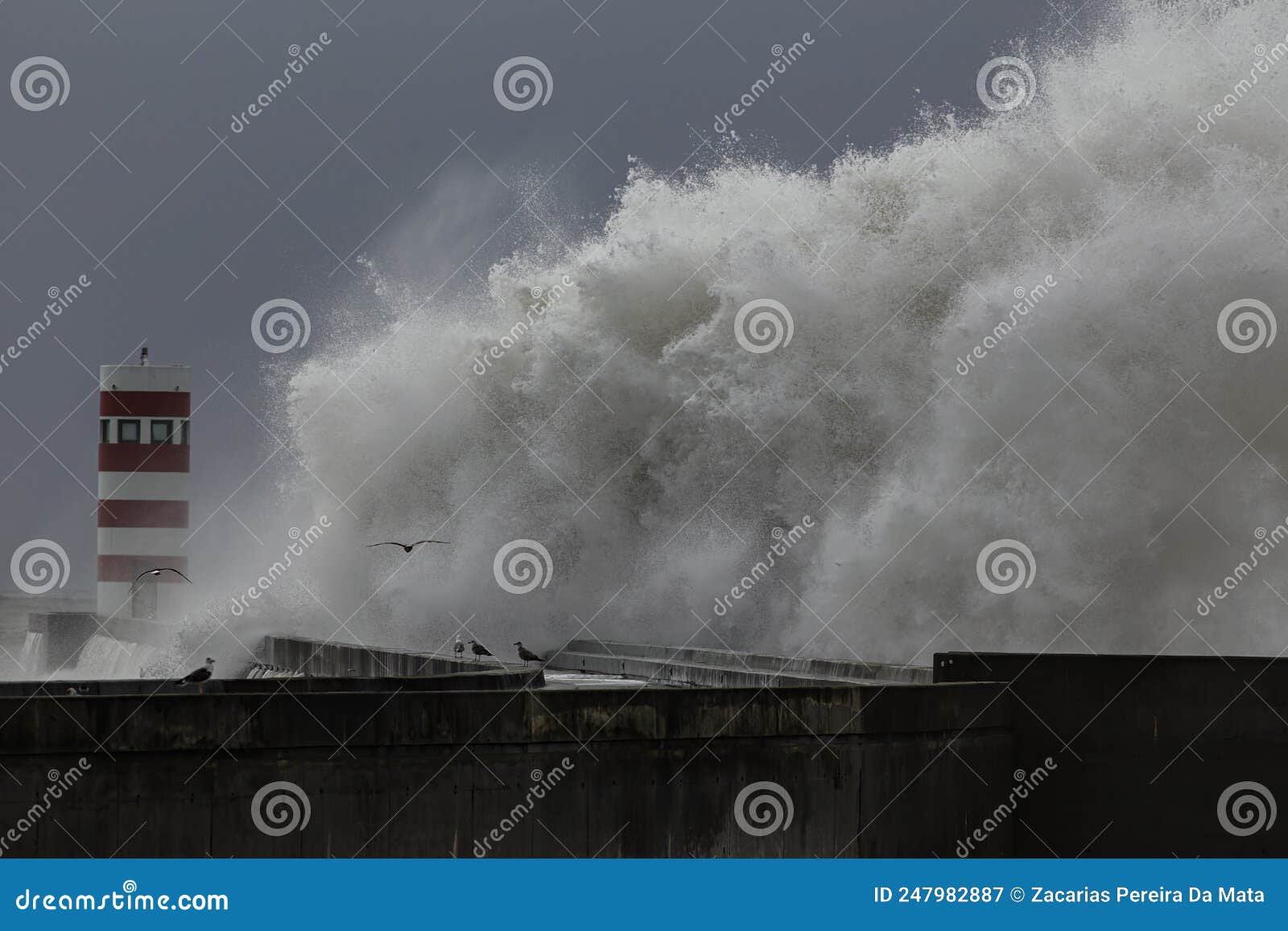 Big wave splash stock image. Image of ocean, huge, fear - 247982887