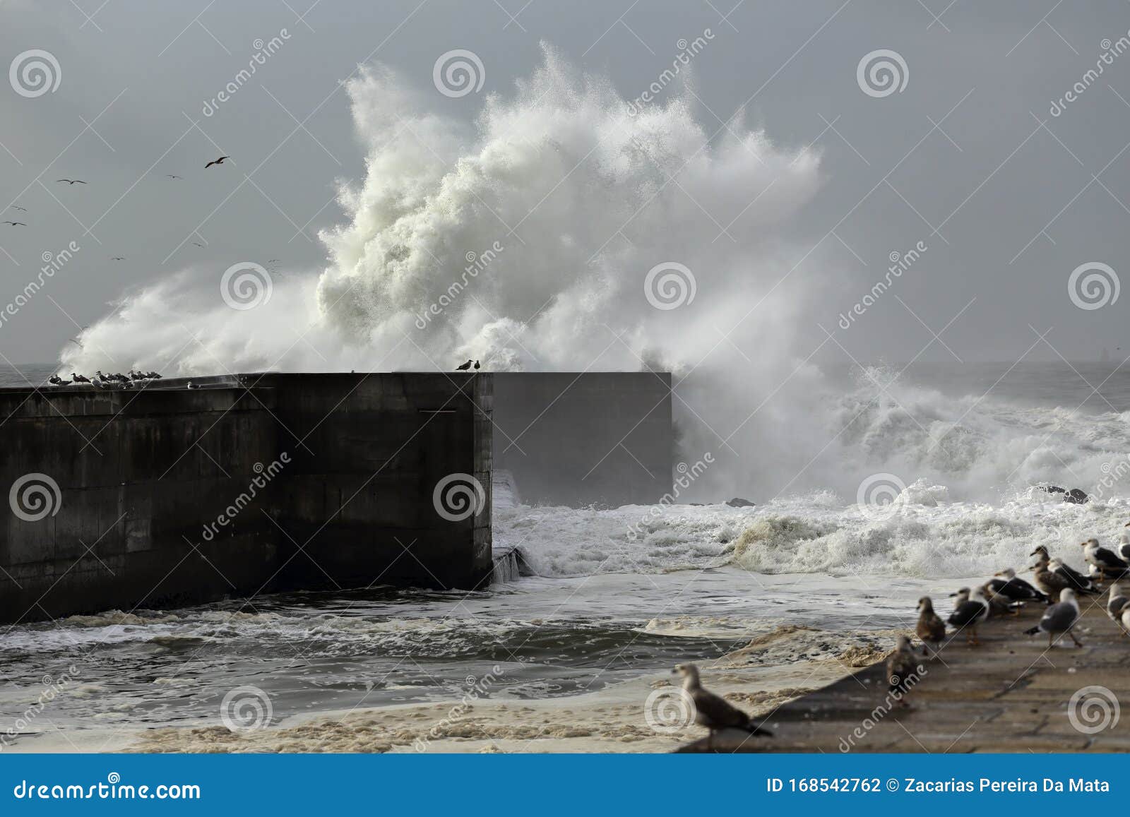 Big wave splash stock photo. Image of moisture, cyclone - 168542762