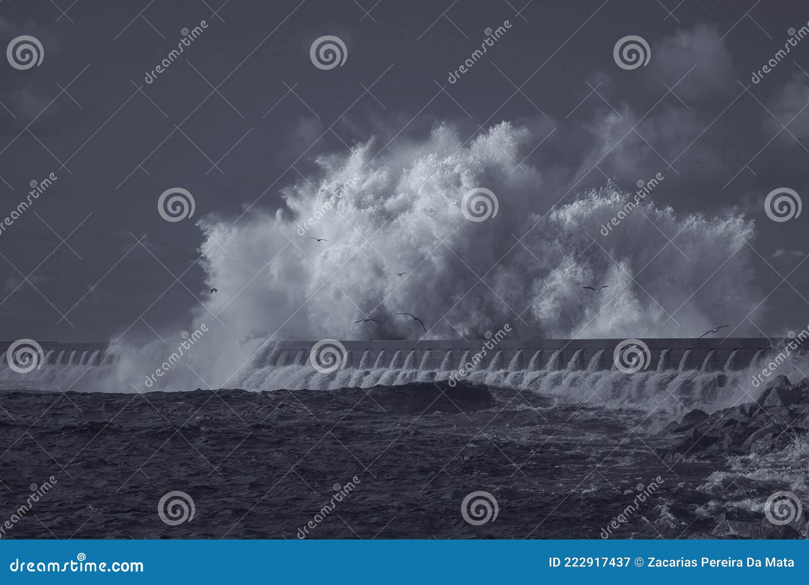 Big wave splash stock image. Image of dangerous, scenic - 222917437
