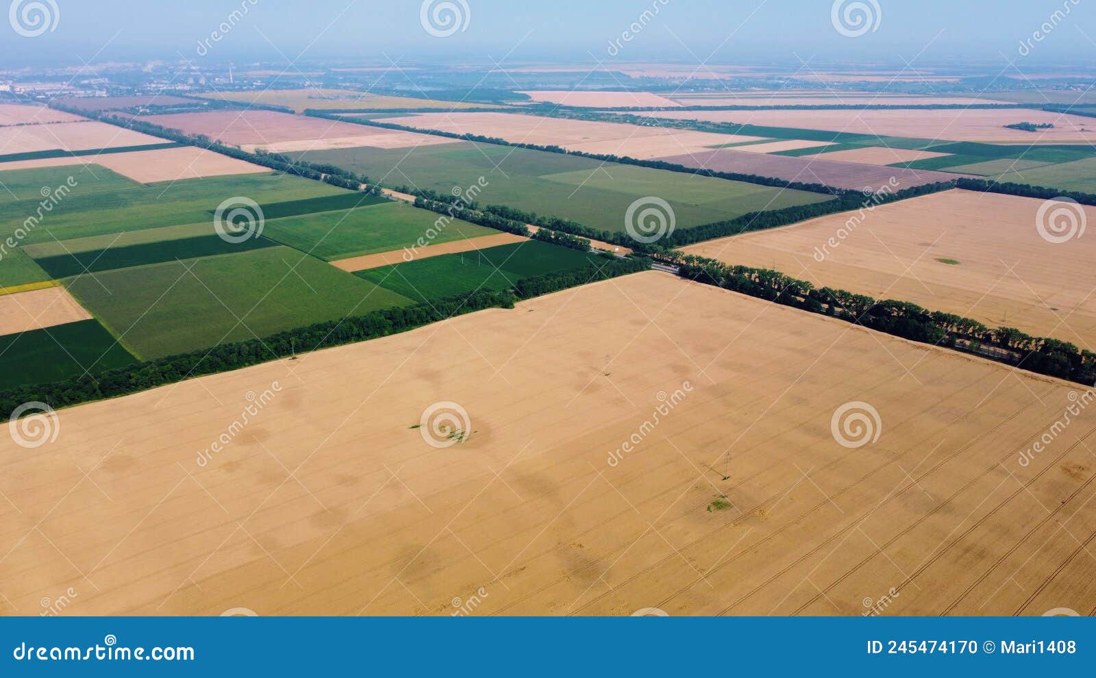 Big Wheat Field. Different Agricultural Fields. Panoramic View Stock ...